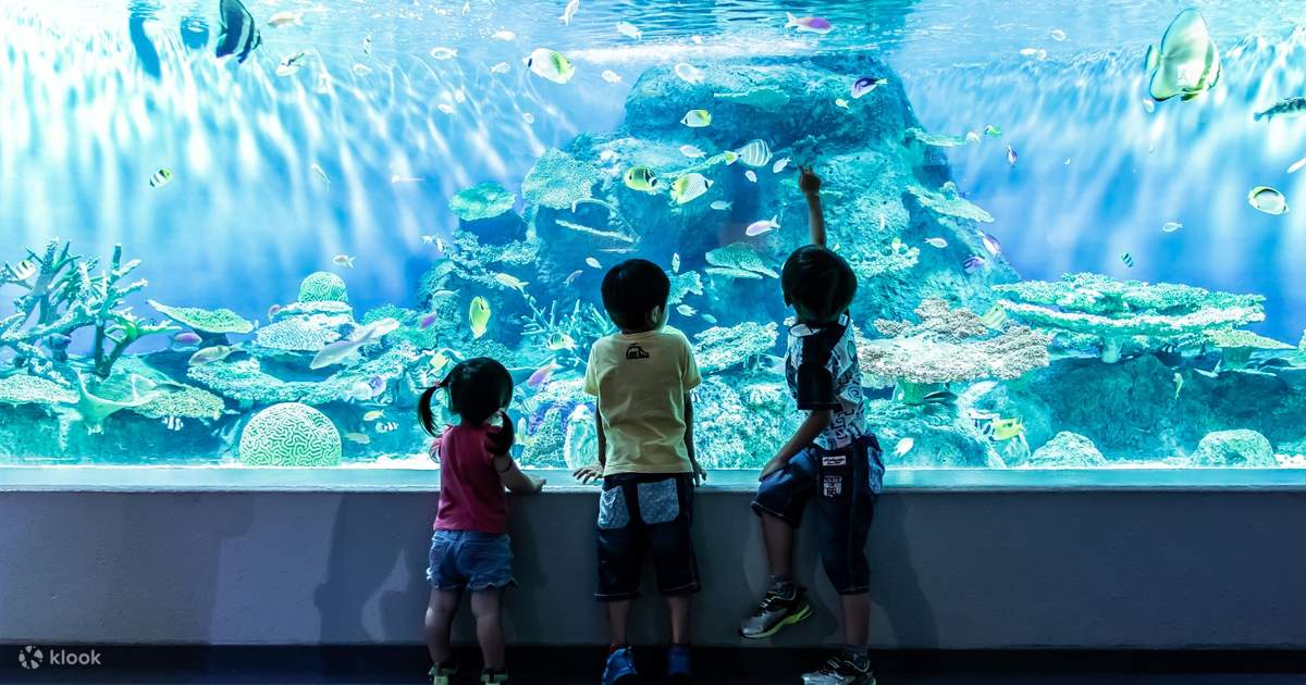 Prenota il tuo biglietto per lo Shinagawa Aquarium di Tokyo su KLOOK! - Klook Stati Uniti
